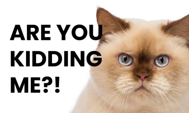 Photoshop Cc Removing Number Sequence For Export Layers To Files